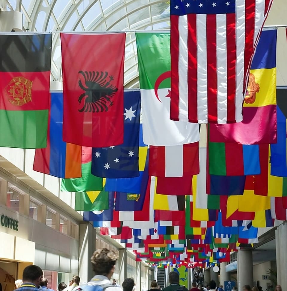 Home - CMS Companies